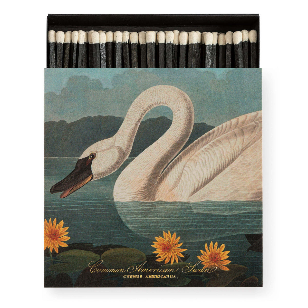 The Common American Swan Luxury Letterpress Match Box – The Flora Lab